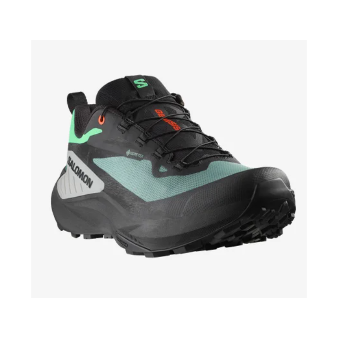 Salomon GENESIS GTX shoes