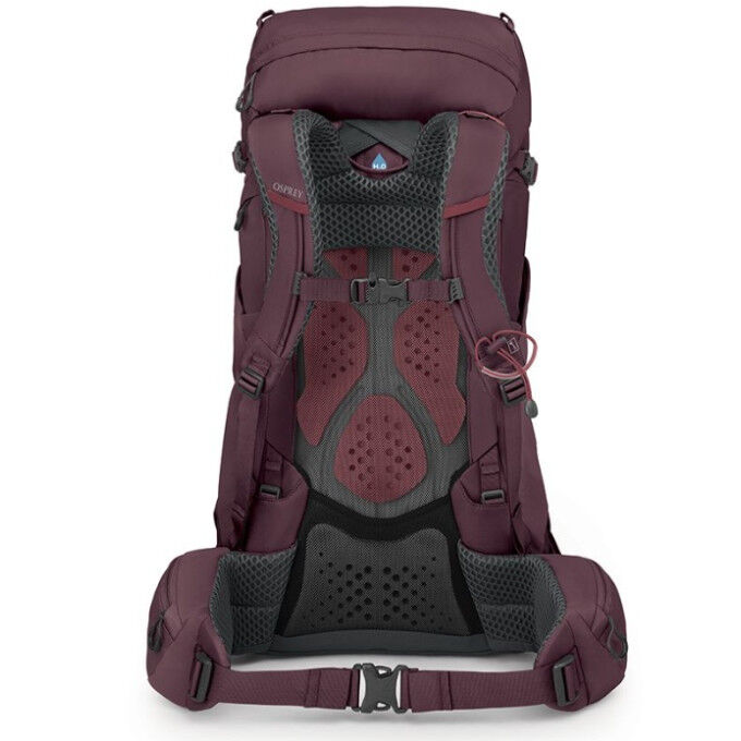 Osprey Kyte 38 Elderberry Purple Backpack